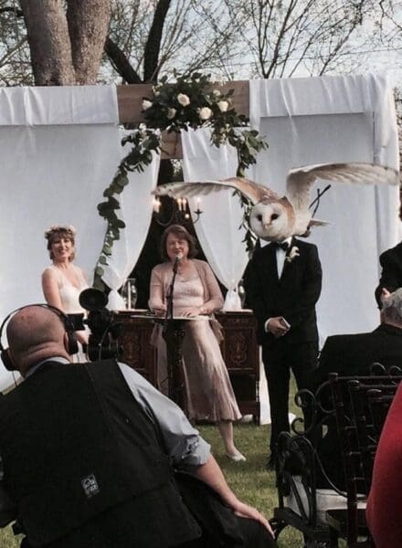 29 Wedding Memes For Stressed Brides & Grooms Who Might Say "I Don't"