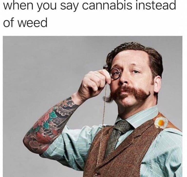 420 Memes: 40 Of The Dankest Memes For The Stoners