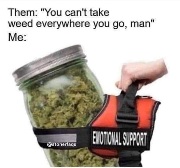 420 Memes: 40 Of The Dankest Memes For The Stoners