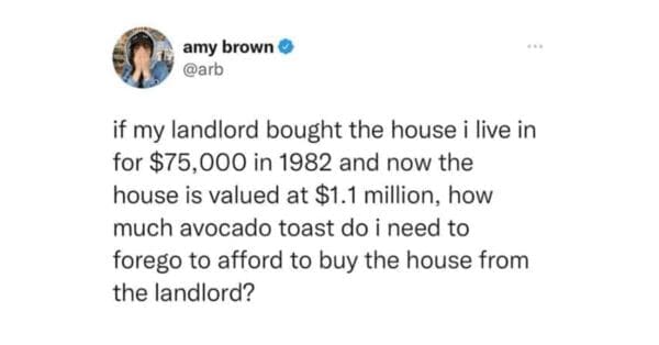 Avocado Memes: 35 Memes You Can Spread on Pricey Toast