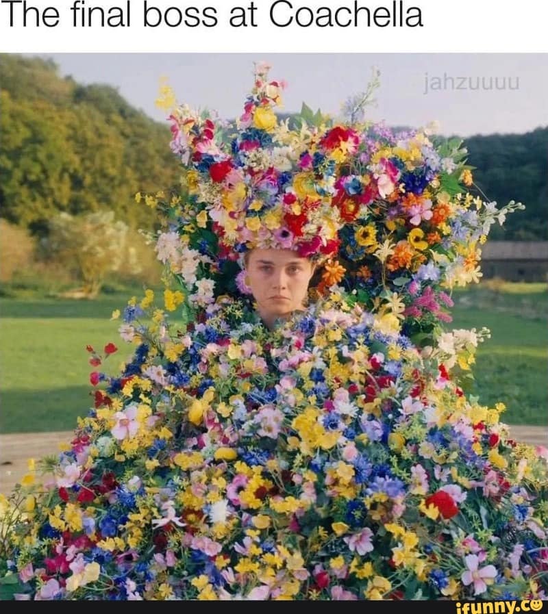 coachella 2024 memes-3-20240424 - Thunder Dungeon | The Funniest Memes ...