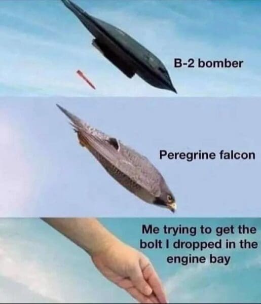 Meme Dump: 30 Fresh Memes For Your Midday Meal