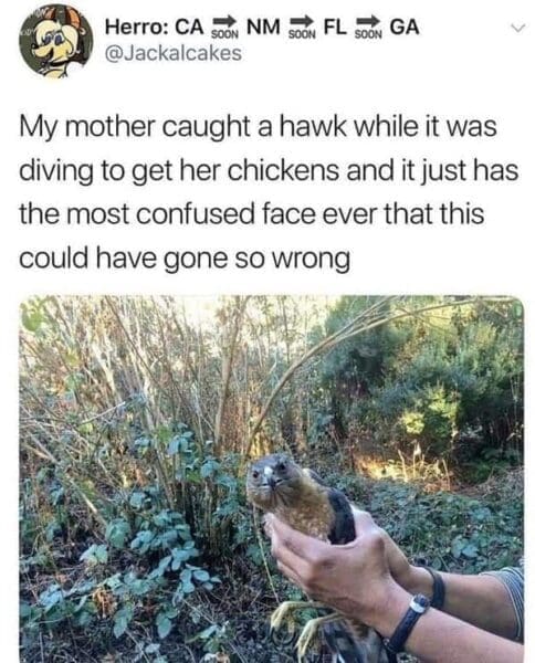 Nature Memes: 40 Gems For The Outdoorsy Folks