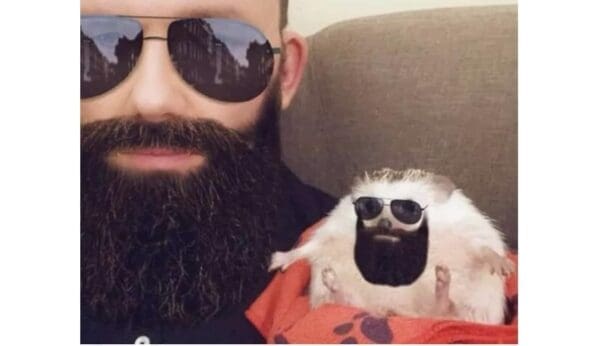 36 Photos That Go Hard and Will Make You Want to Run Through a Brick Wall