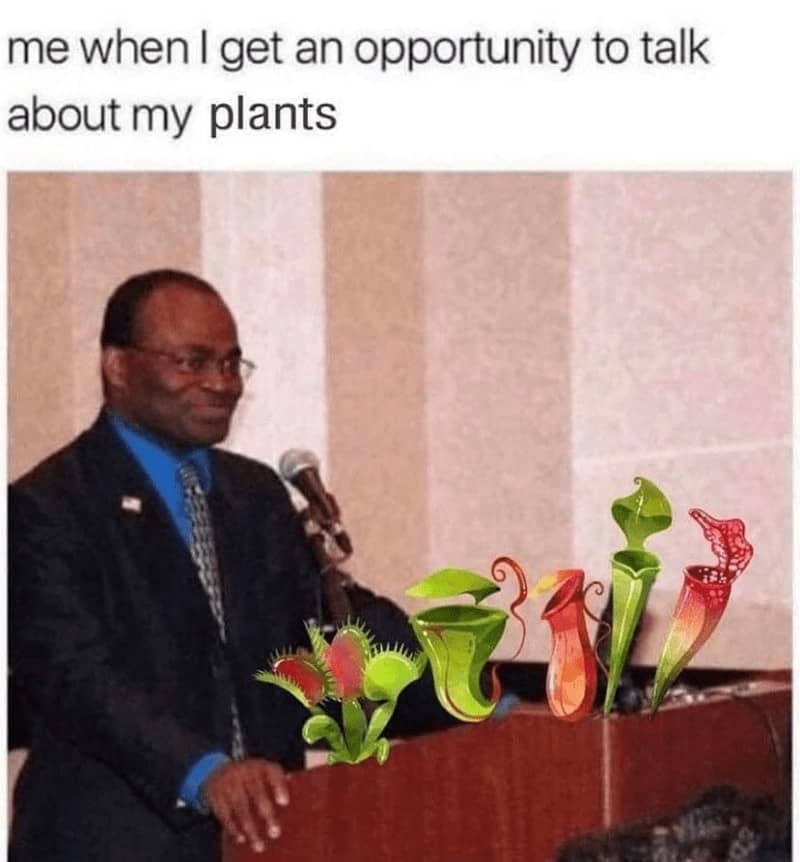 plant memes-12-20240406 - Thunder Dungeon | The Funniest Memes. Period.