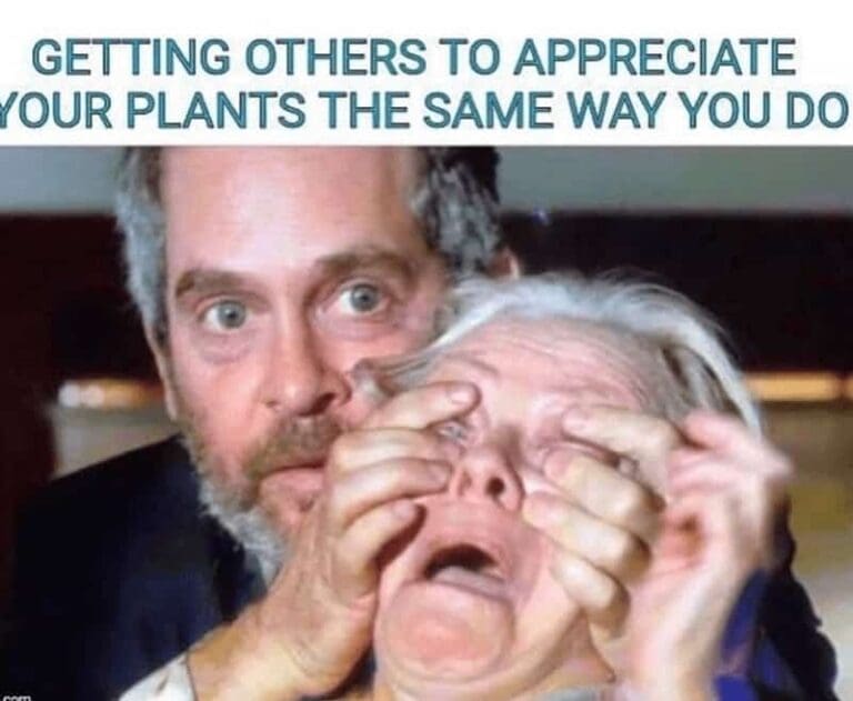 Is My Plant Dead? Probably. 36 Plant Memes That Will Make Every Plant ...