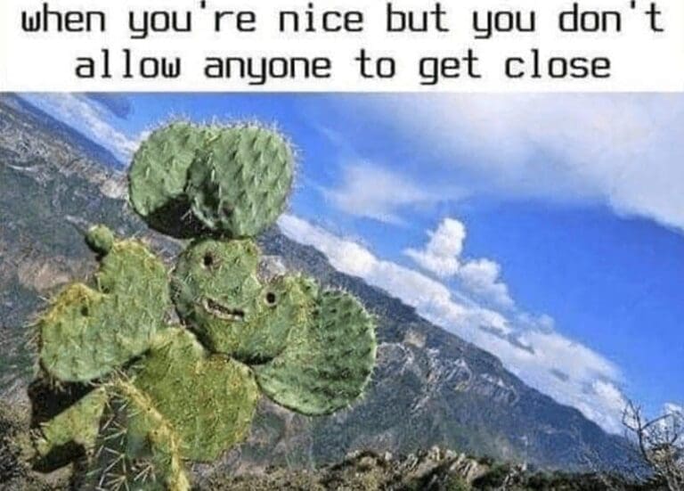 Is My Plant Dead? Probably. 36 Plant Memes That Will Make Every Plant ...