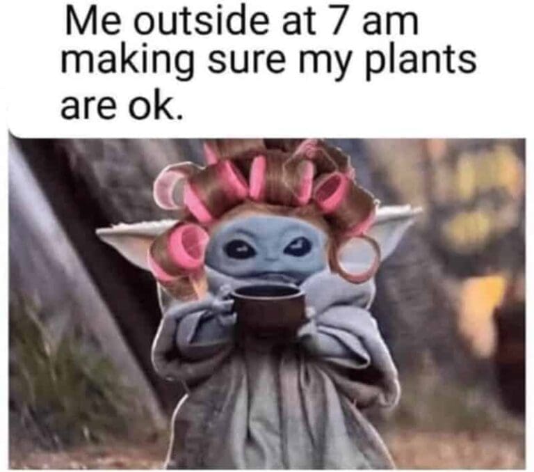 Is My Plant Dead? Probably. 36 Plant Memes That Will Make Every Plant ...