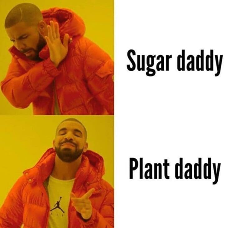 Is My Plant Dead? Probably. 36 Plant Memes That Will Make Every Plant ...