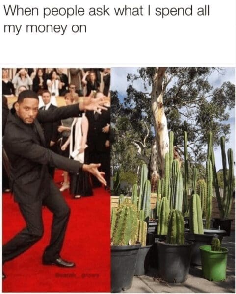 Is My Plant Dead? Probably. 36 Plant Memes That Will Make Every Plant ...