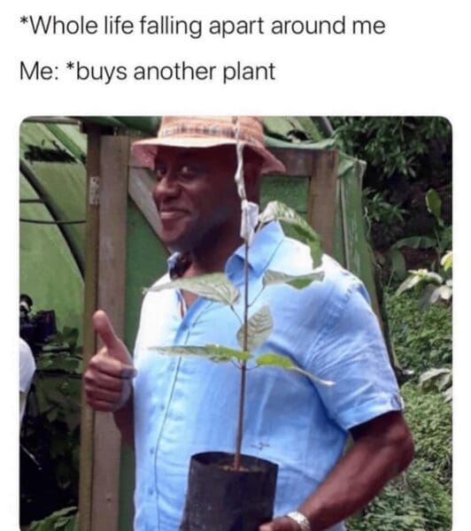 Is My Plant Dead? Probably. 36 Plant Memes That Will Make Every Plant ...