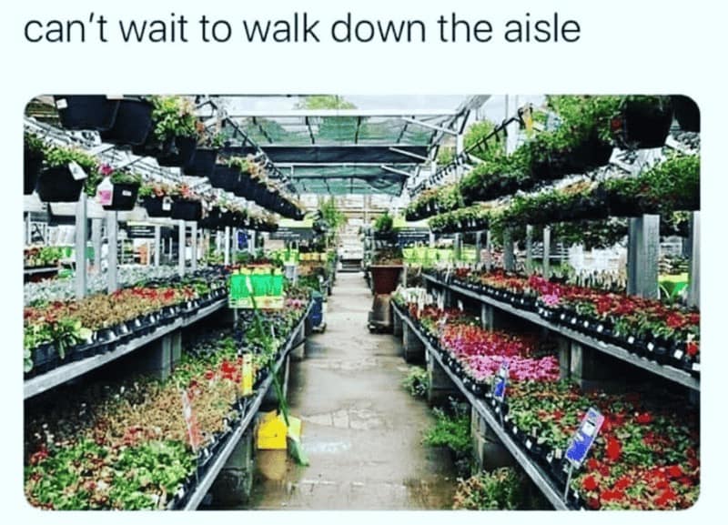 plant memes-6-20240406 - Thunder Dungeon | The Funniest Memes. Period.