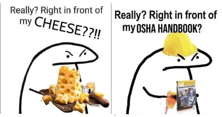 Really Right In Front of My Memes: 30 Bizarre Niche Memes