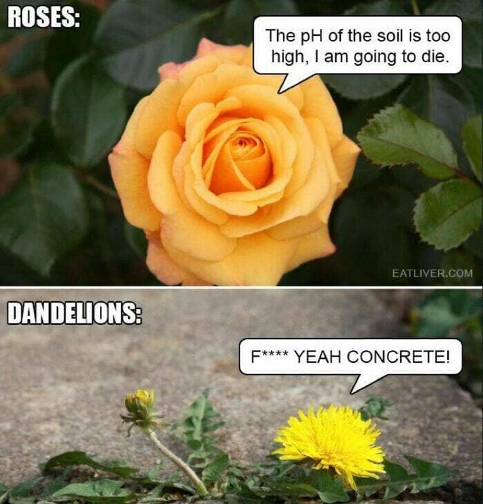 science memes-23-20240422 - Thunder Dungeon | The Funniest Memes. Period.