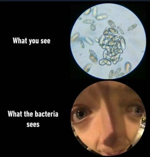 Science Memes: 45 Memes for the NERDS