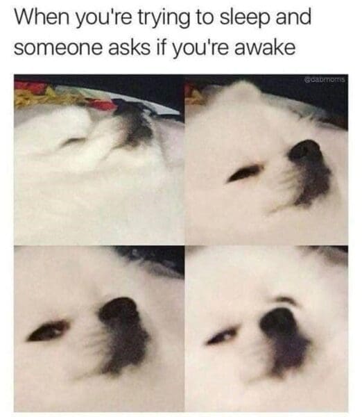 Sleep Memes: 40 Memes For People Getting NO Sleep