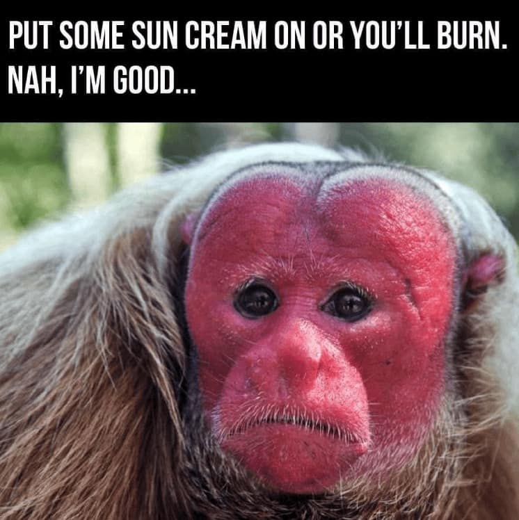 sunburn memes-32-4-23-2024 - Thunder Dungeon | The Funniest Memes. Period.