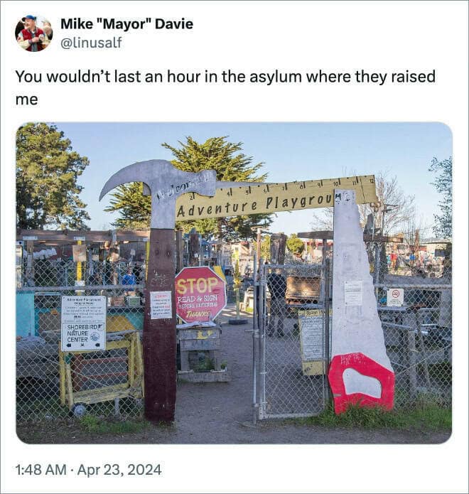 taylor swift asylum memes-1-4-25-2024 - Thunder Dungeon | The Funniest ...