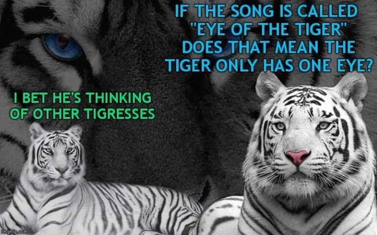 Tiger Memes: 19 Memes Where the Stripes Meet Sarcasm