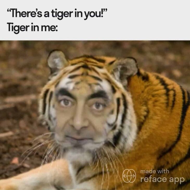 Tiger Memes: 19 Memes Where the Stripes Meet Sarcasm