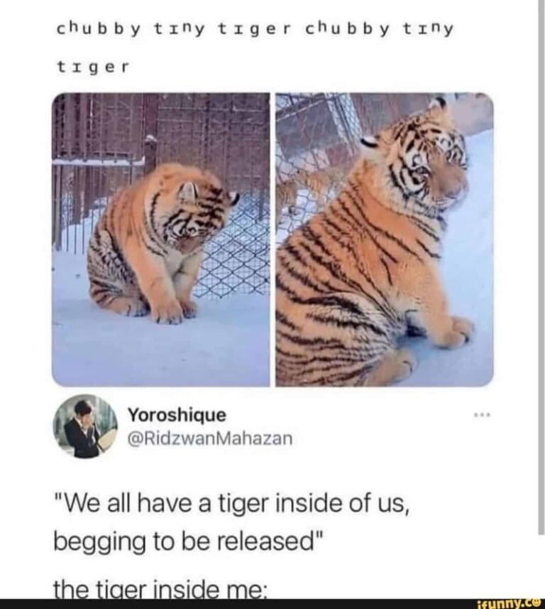 Tiger Memes: 19 Memes Where the Stripes Meet Sarcasm