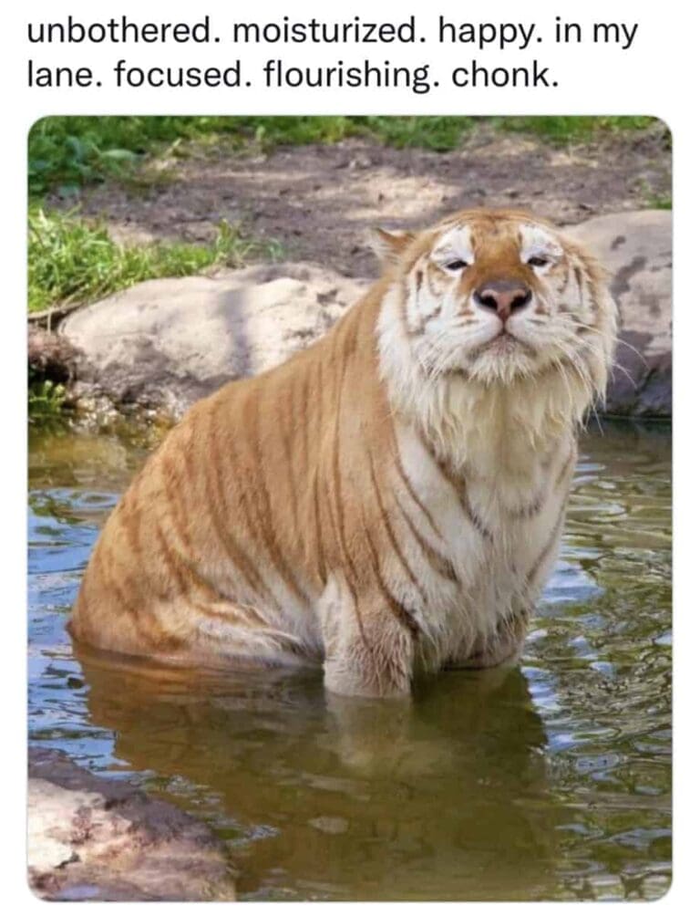Tiger Memes: 19 Memes Where the Stripes Meet Sarcasm