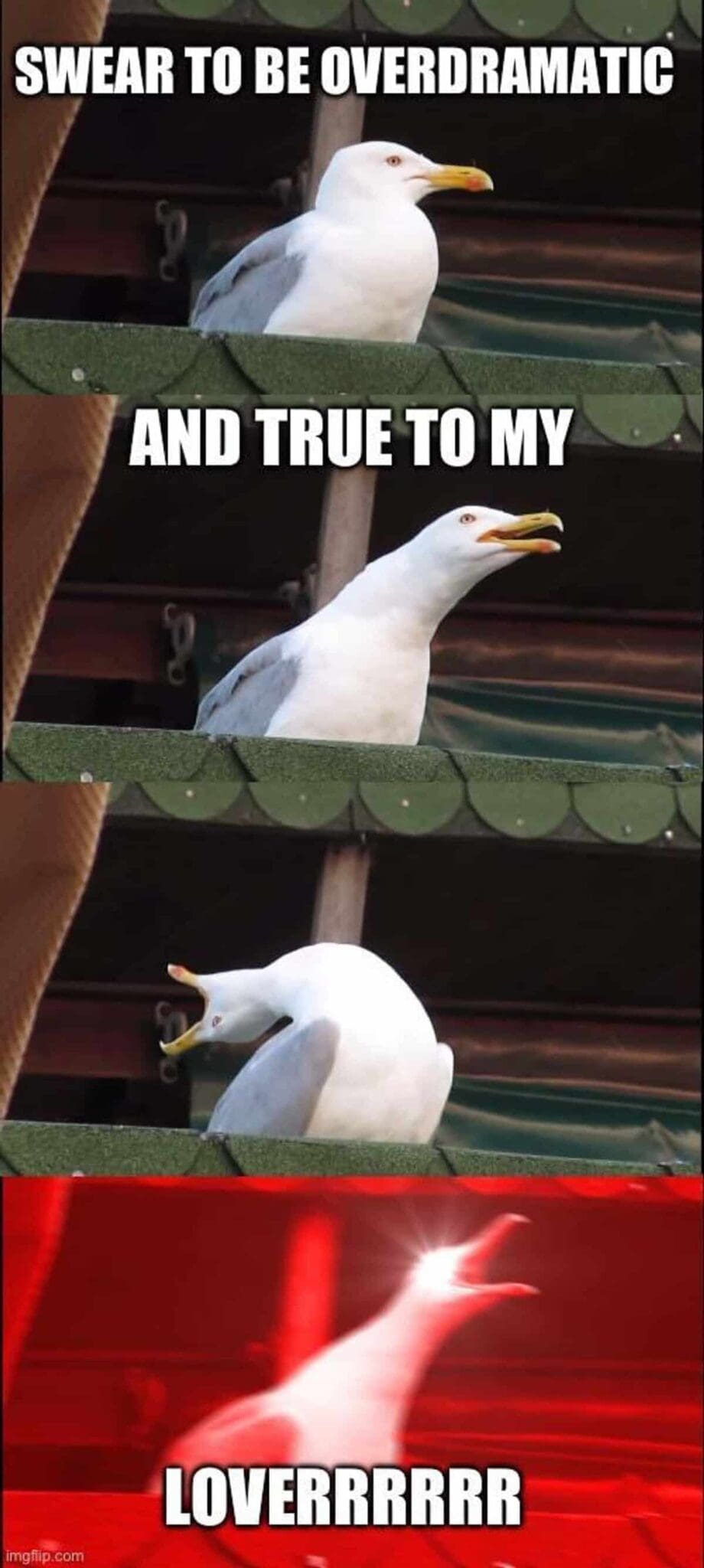 Taylor Swift Memes: 48 Funny Memes For The Swifties