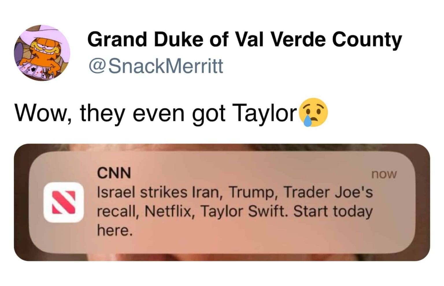 Taylor Swift Memes: 48 Funny Memes For The Swifties
