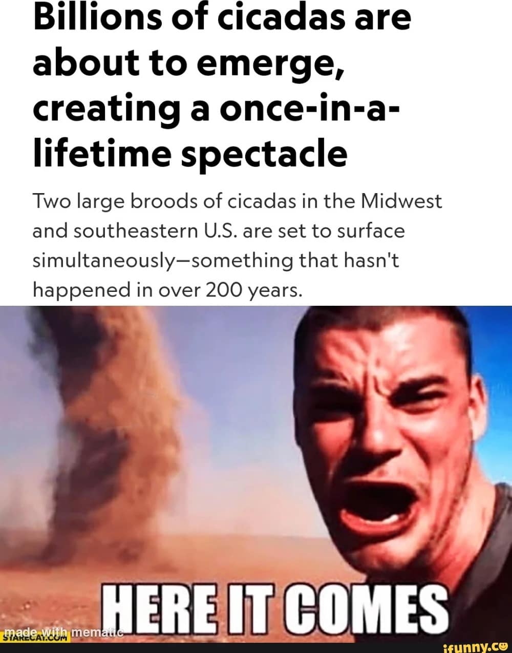 cicada memes-21-20240508 - Thunder Dungeon | The Funniest Memes. Period.