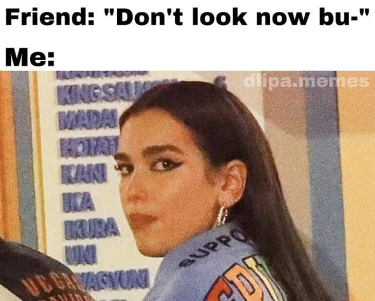 Dua Lipa Memes: 18 Memes to Celebrate Radical Optimism