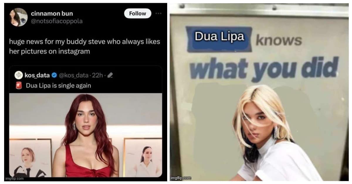 Dua Lipa Memes 18 Memes To Celebrate Radical Optimism