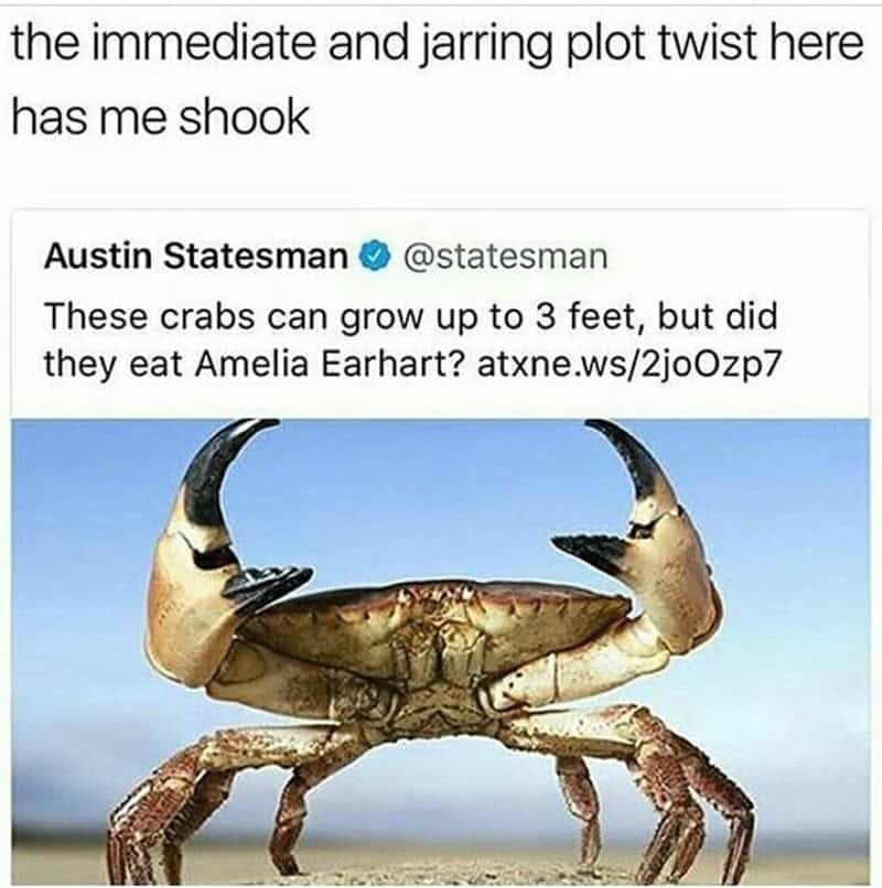 funny dumb memes-17-5-24-2024 - Thunder Dungeon | The Funniest Memes ...