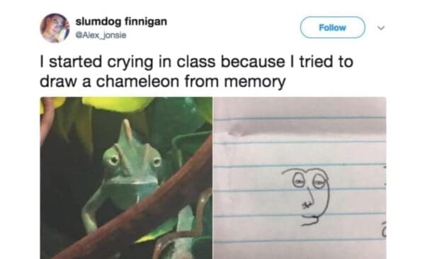 40 Dumb Memes So Funny They'll Make You Question Your Life Choices