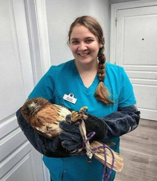 Is My Pet Broken? 39 Hilarious Photos That Perfectly Capture the Weird ...
