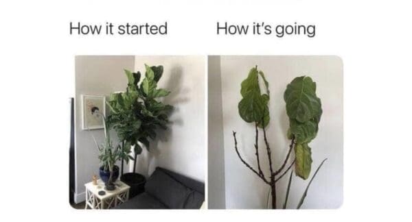 35 Gardening Memes Because You Can't Buy Happiness, But You Can Buy Plants