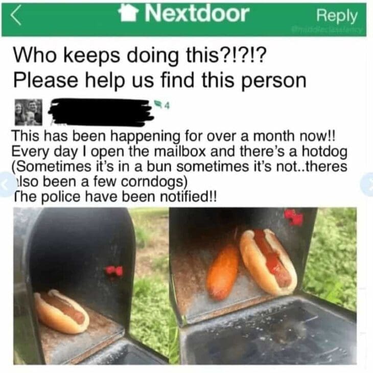 49 Hot Dog Memes That Are the Wurst