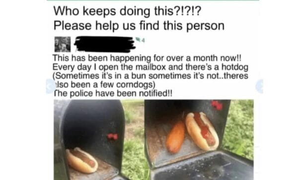 49 Hot Dog Memes That Are the Wurst