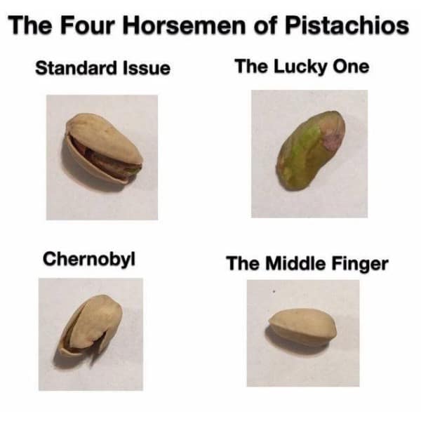 Meme Dump: 30 Funny Memes For Your Evening Session