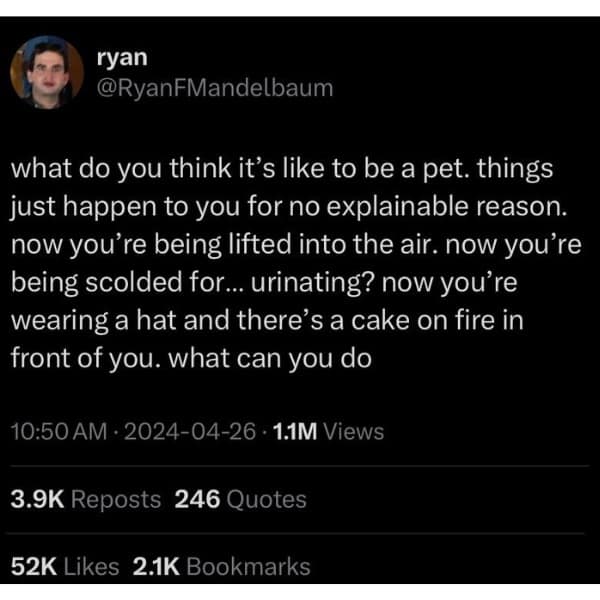 Meme Dump: 30 Funny Memes For Your Evening Session