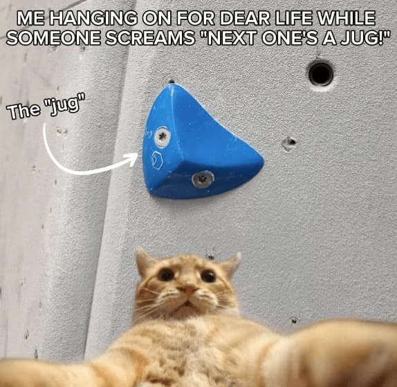 30 Rock Climbing Memes: You Either Get It or You Don't