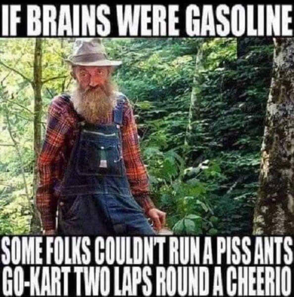 Southern Memes: 50 Memes With Southern Charm