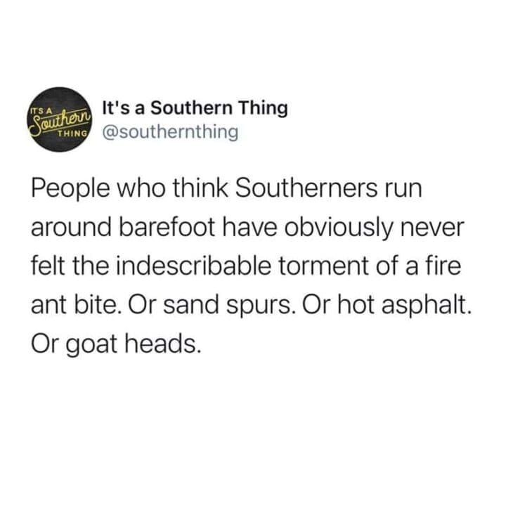 Southern Memes: 50 Memes With Southern Charm