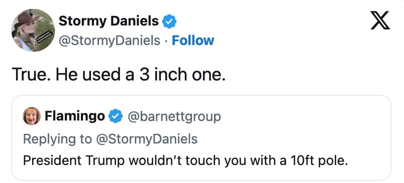 stormy daniels memes-17-20240508 - Thunder Dungeon | The Funniest Memes ...