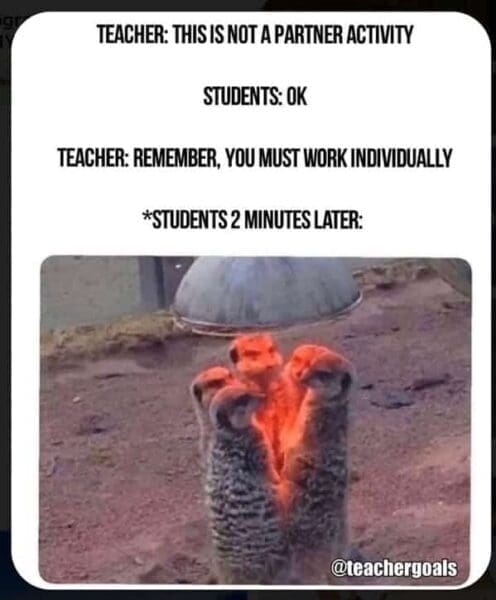 Grading Papers and Holding Back Tears: 40 Teacher Memes That Will Make ...