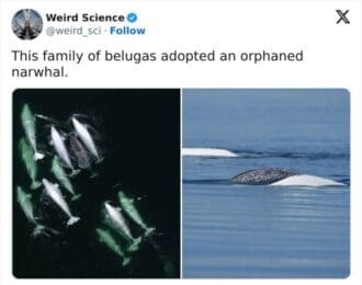 40 Weird Science Facts That Will Make You Question Everything You ...