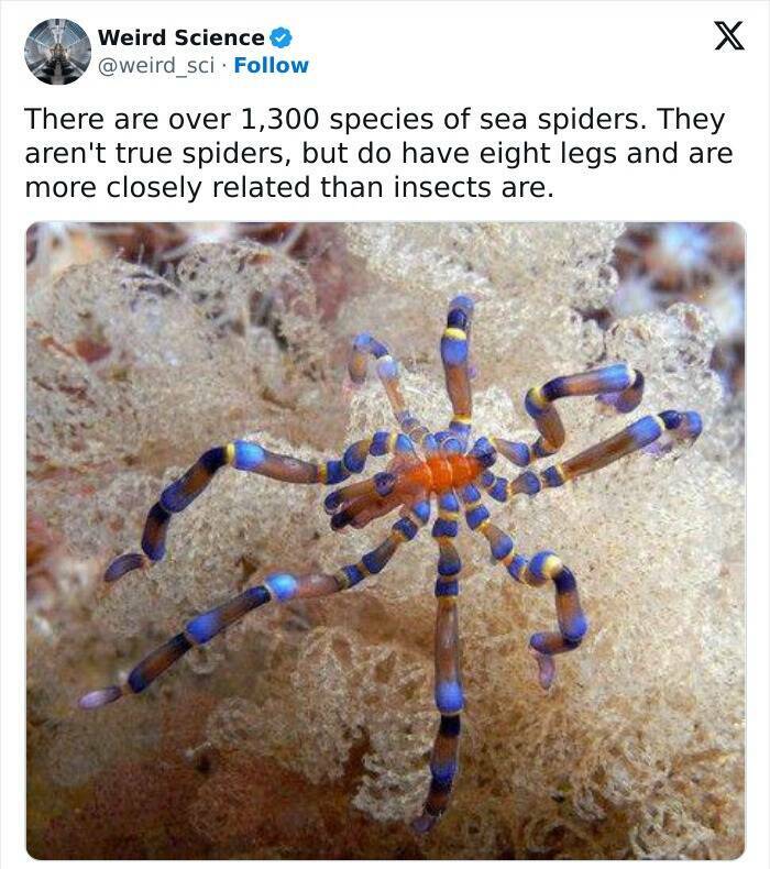 weird science facts-44-5-21-2024 - Thunder Dungeon | The Funniest Memes ...