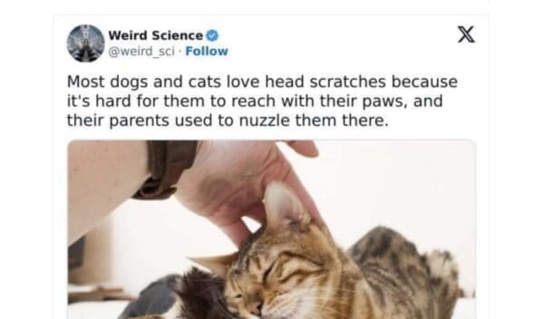 40 Weird Science Facts That Will Make You Question Everything You ...