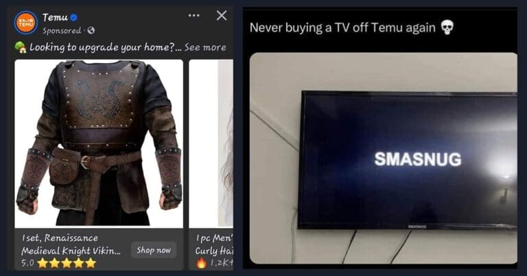 Temu Memes: 35 Gems From The WORST Marketplace