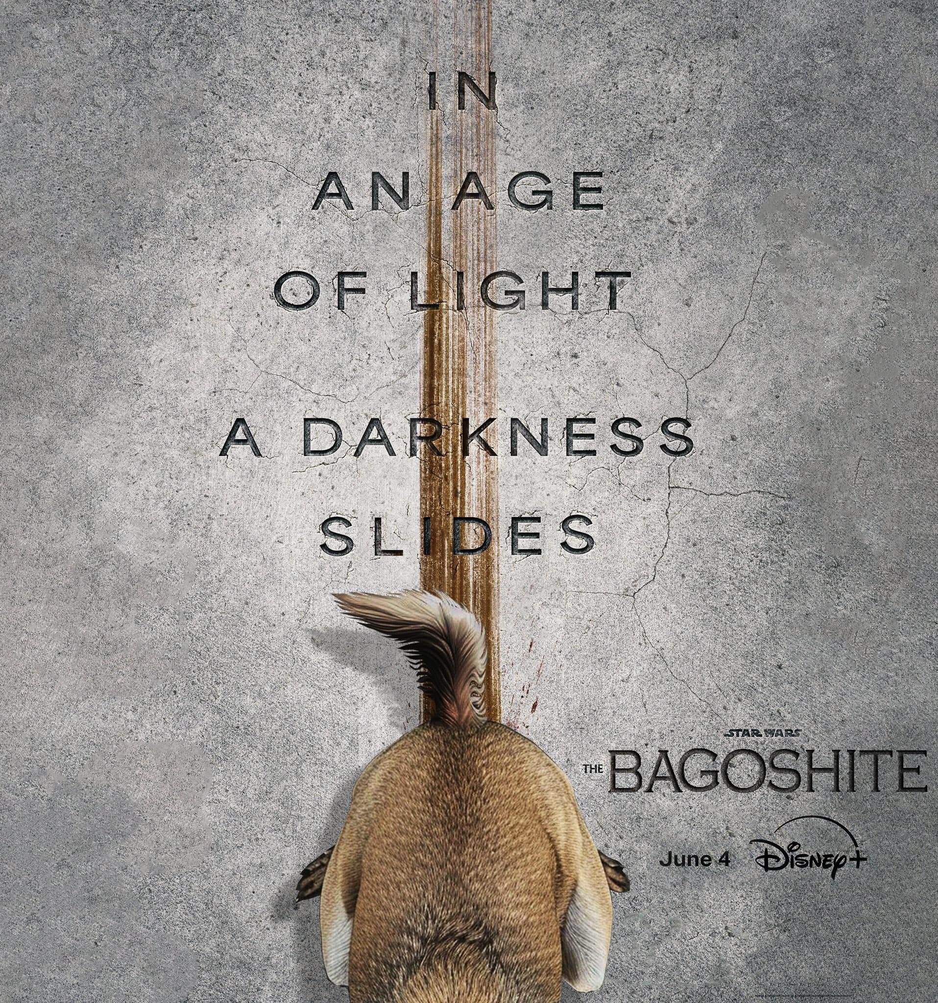 The Acolyte memes-11-20240612 - Thunder Dungeon | The Funniest Memes ...