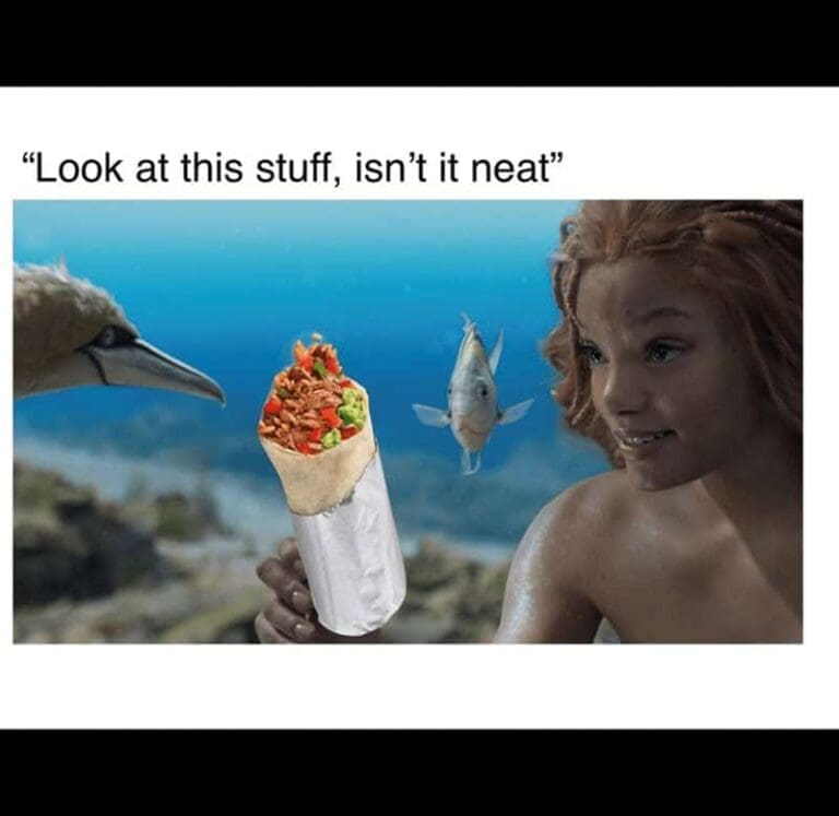 Burrito Memes: 30 Memes For Burrito Lovers Everywhere
